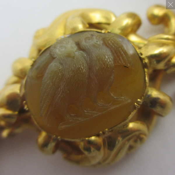 Who likes rabbits, owls, dogs, horses even turkeys and eagles? - Top ...